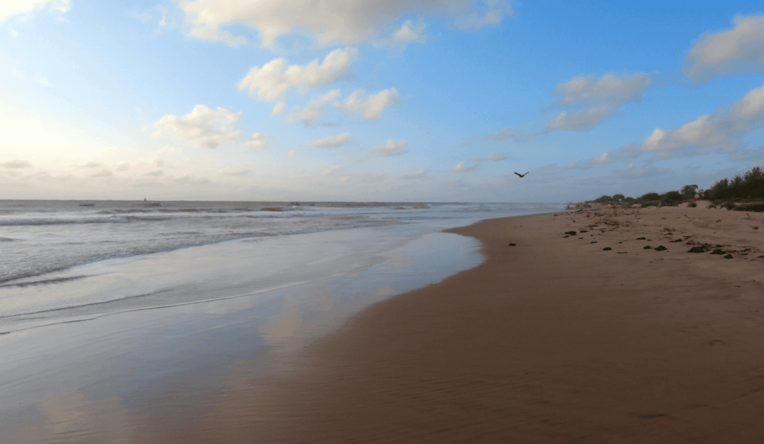 The Ultimate Kenya Travel Guide: Everything You Need
